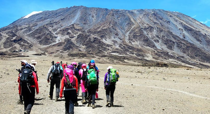 RONGAI ROUTE - Summit Jaunt Safari